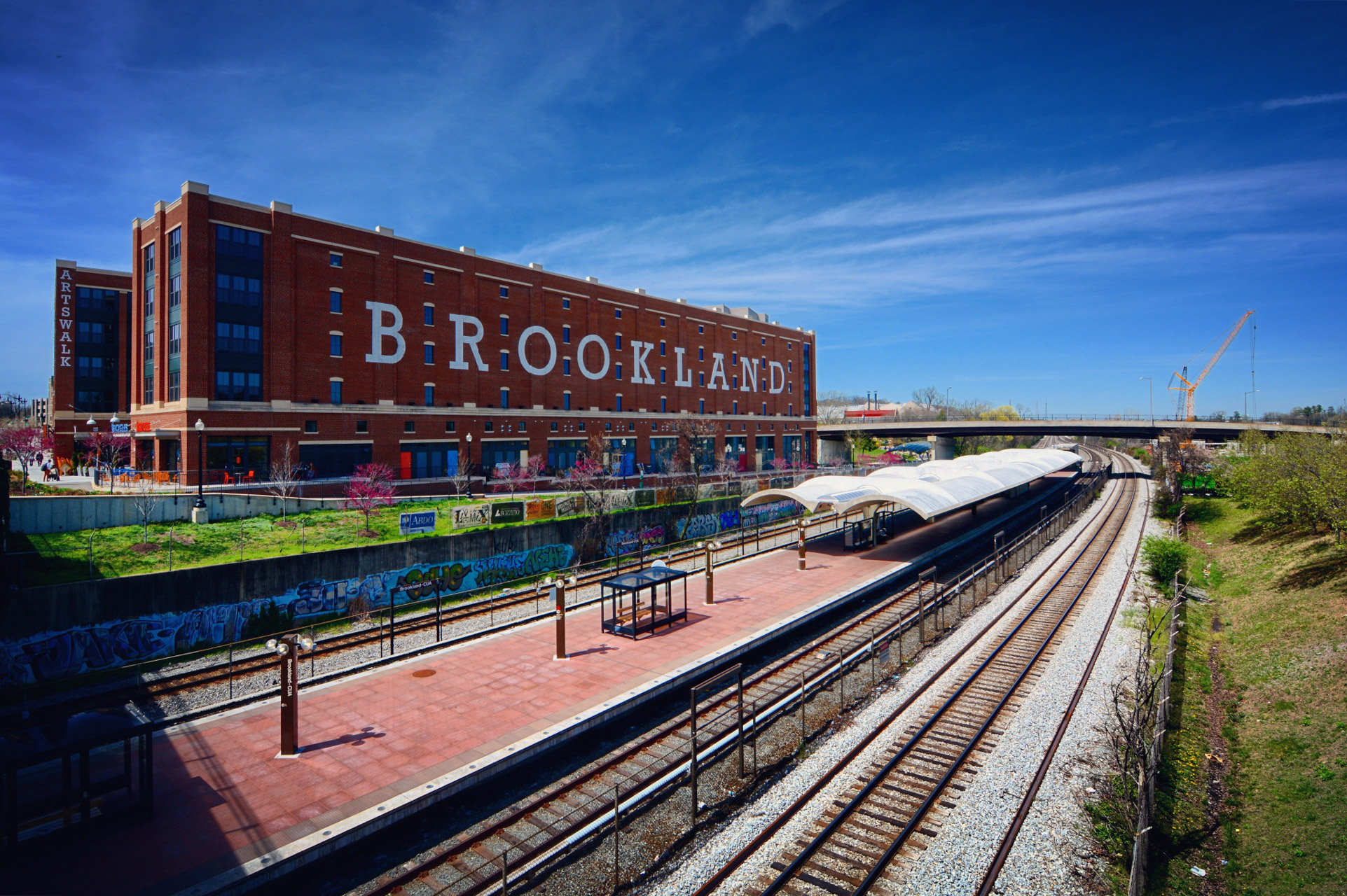 beauty in brookland - Jamie Bannon Photography | Hartford, Connecticut