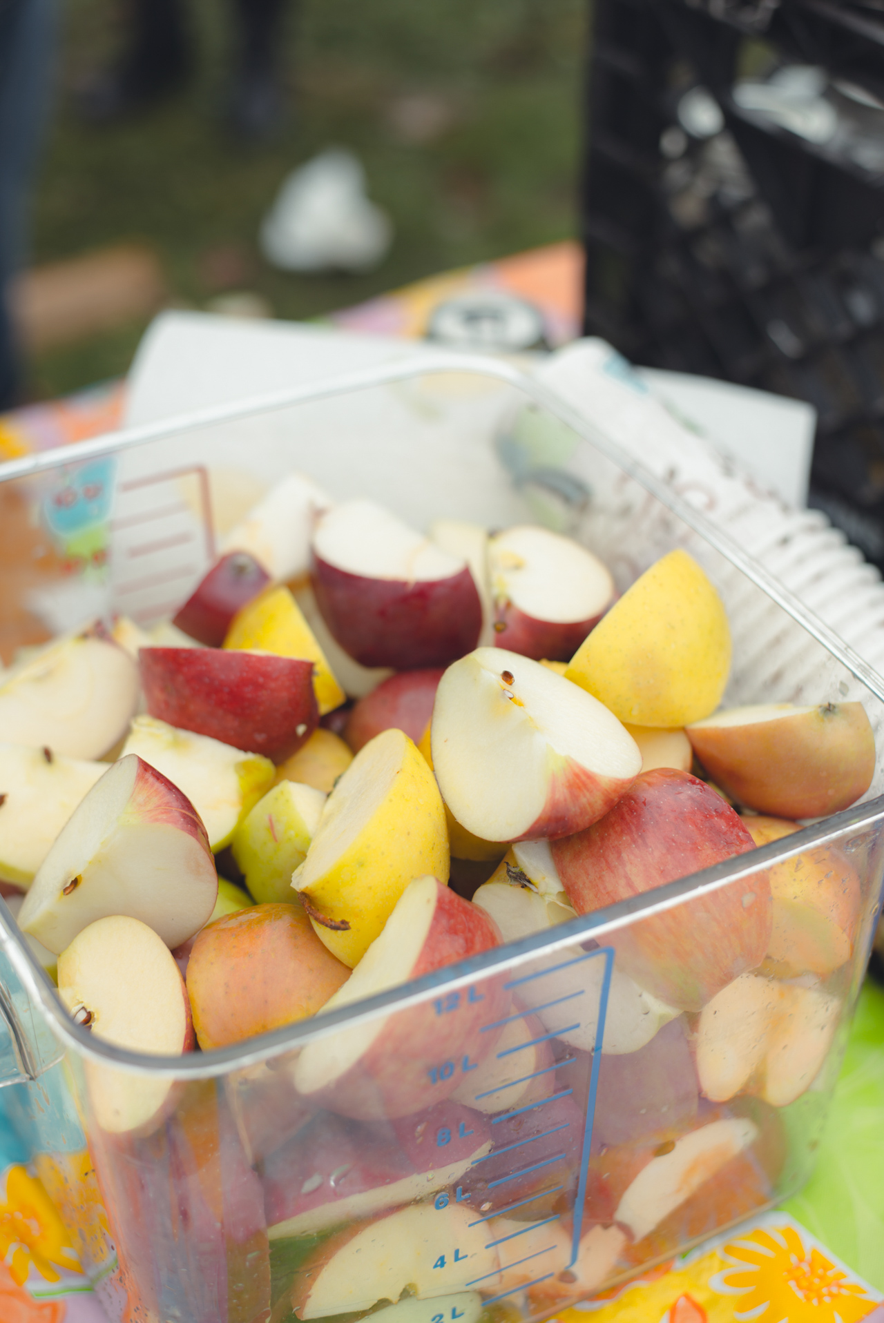 apple cider making party / bethel, ct - Jamie Bannon Photography ...