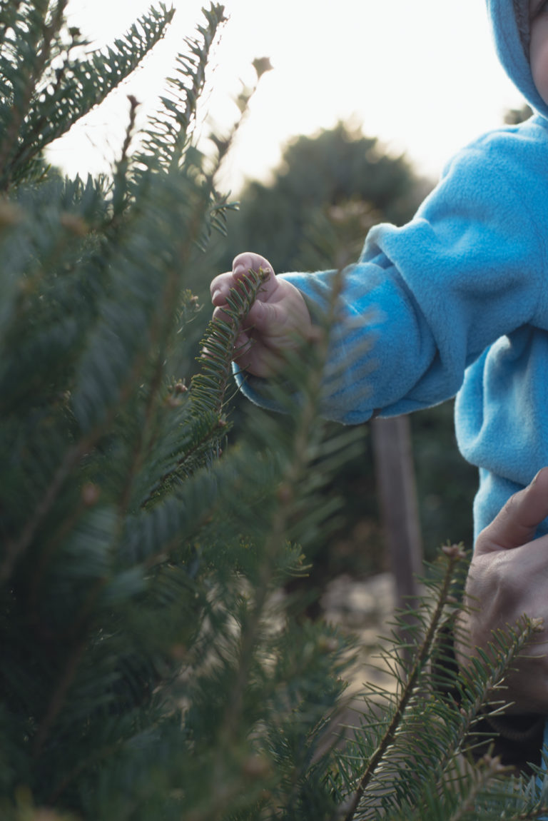 baby's first christmas tree / bloomfield, ct - Jamie Bannon Photography ...