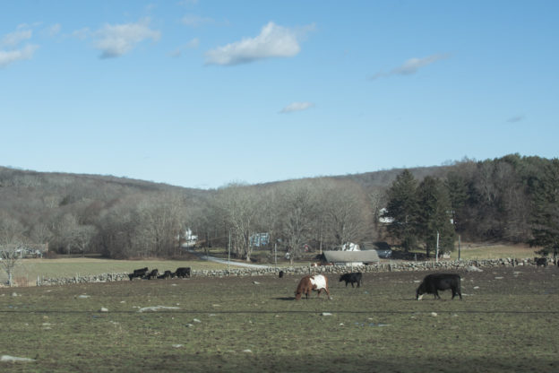 new year’s day / exploring the connecticut river valley - Jamie Bannon ...
