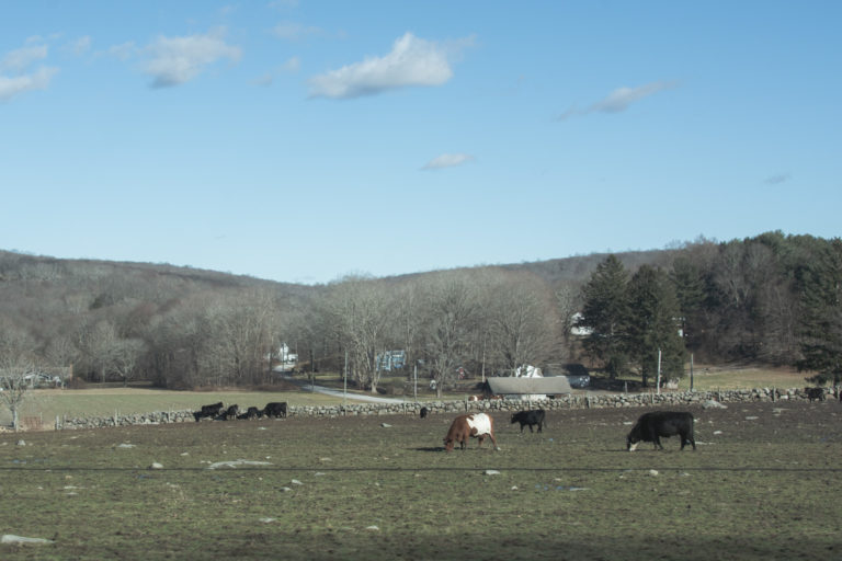 new year’s day / exploring the connecticut river valley - Jamie Bannon ...